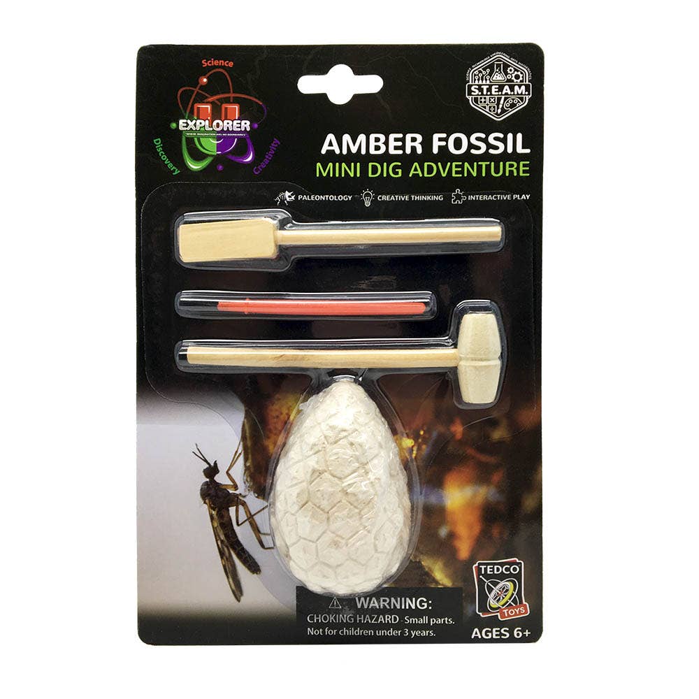 Amber Fossil Mini dig – The Gift Shops of the Old North Church